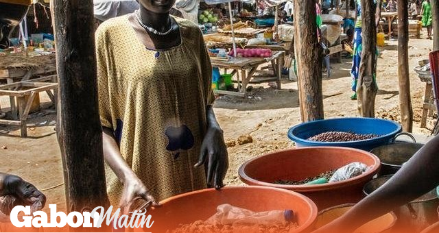 Soudan du Sud : l’ONU appelle à investir davantage pour éviter une crise alimentaire - Gabon Matin