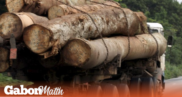Communiqué du ministère gabonais des Forêts relatif au transport du ...